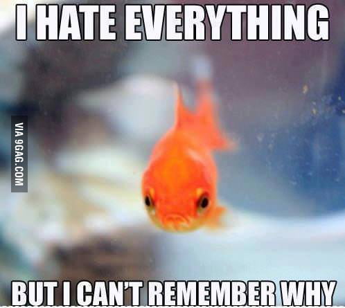 Grumpy Fish - 9GAG