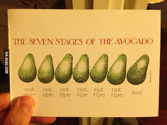 The Seven Stages of the Avocado - 9GAG