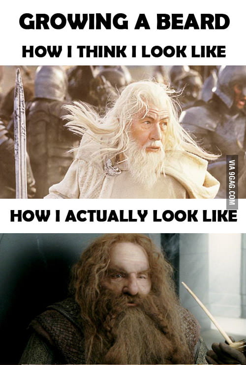 Growing a beard - 9GAG