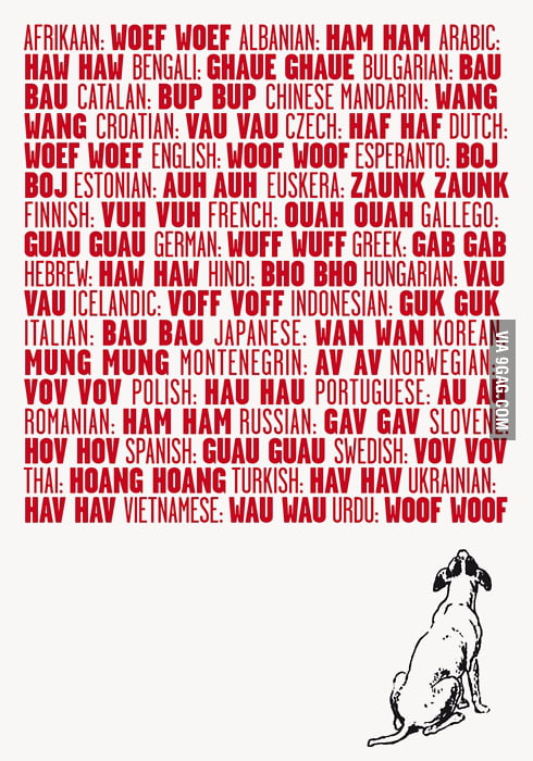 Dog speak in Google Translate - 9GAG