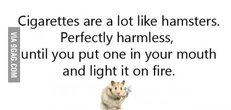Hamster's are a lot like cigarettes - 9GAG