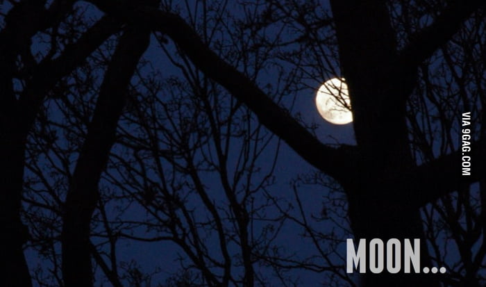 Soon Moon... - 9GAG