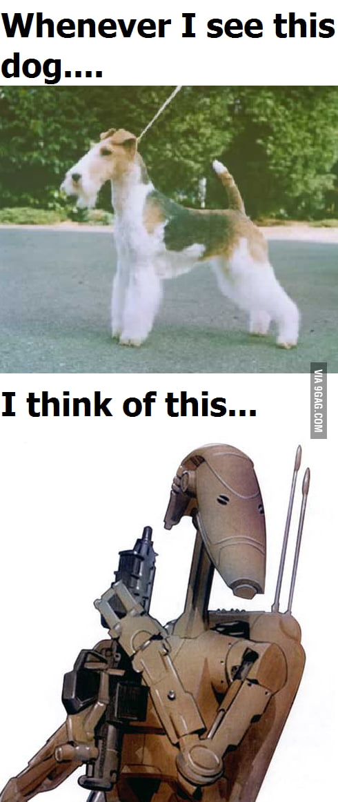 Wire Fox Droid - 9GAG