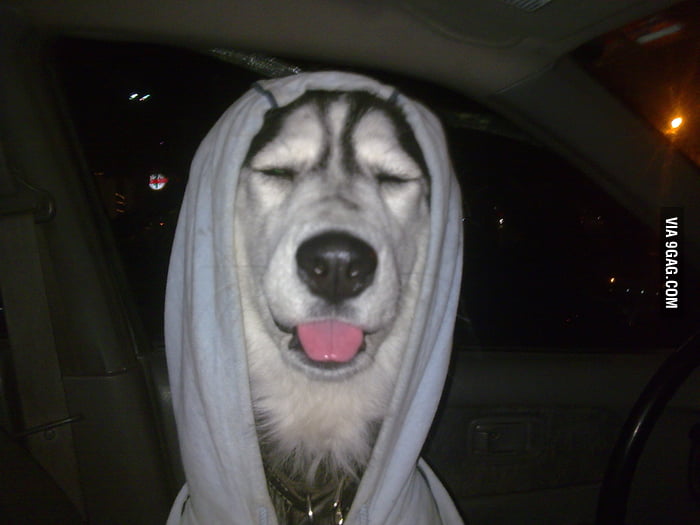 Wazzuuuup!!!! - 9GAG