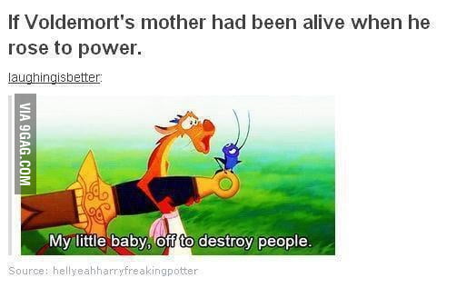 My little baby Voldemort ... - 9GAG