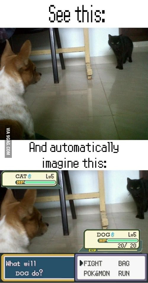 Pokemon Addiction - 9GAG
