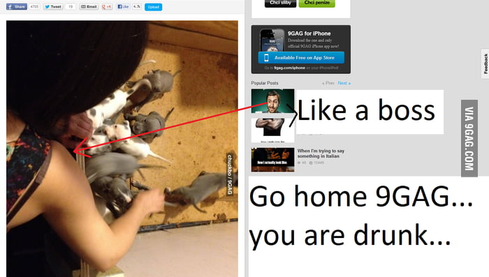 Go hom 9GAG. you are drunk - 9GAG