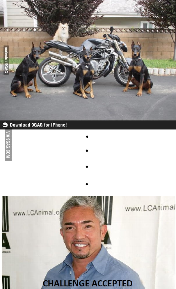 CHALLENGE CONSIDERED - 9GAG