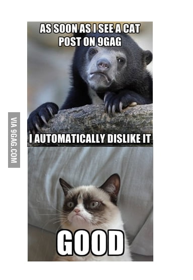 Dislike cats ? Good. - 9GAG