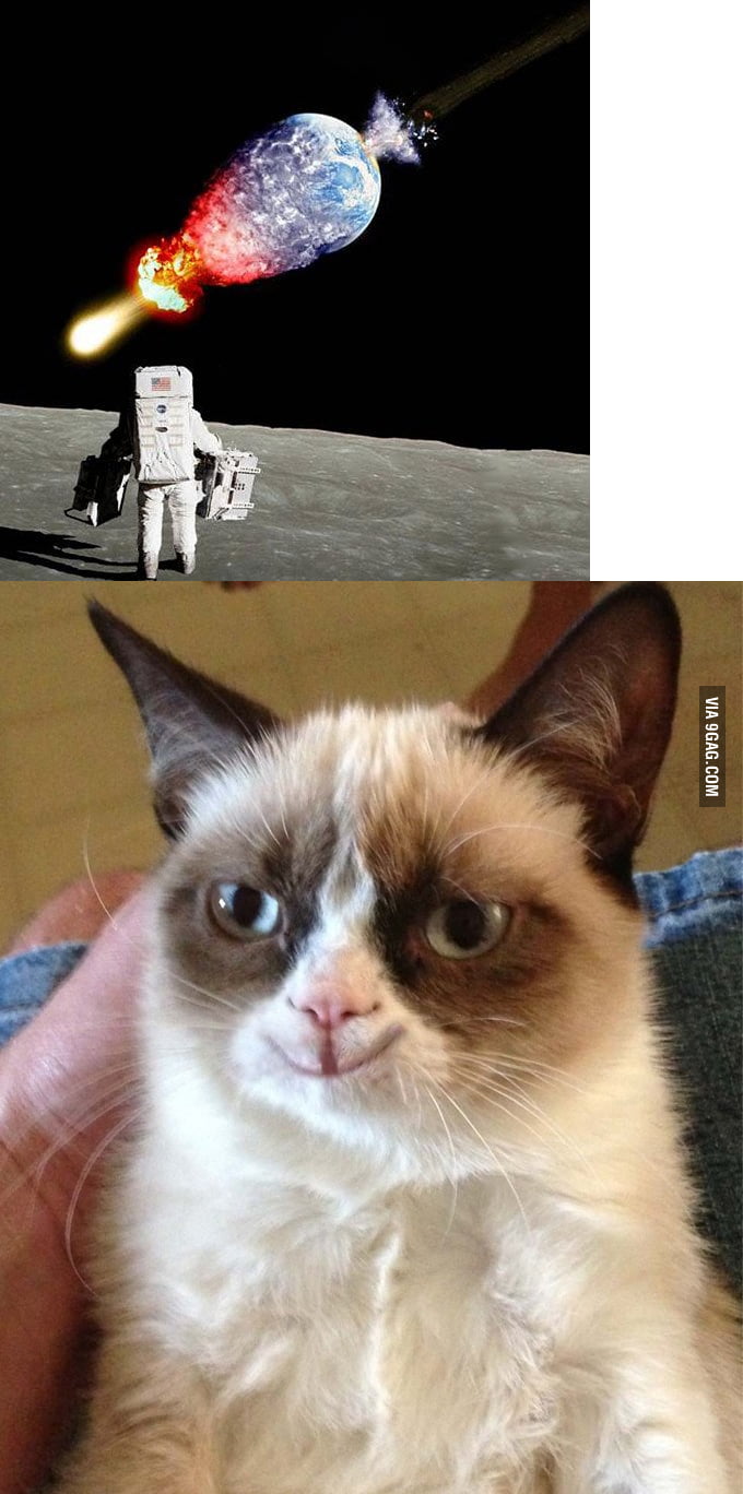 Grumpy cat is finally happy - 9GAG