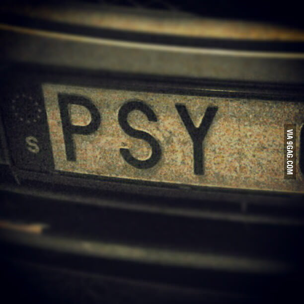 That awkward moment when it stands Psy on your new car - 9GAG