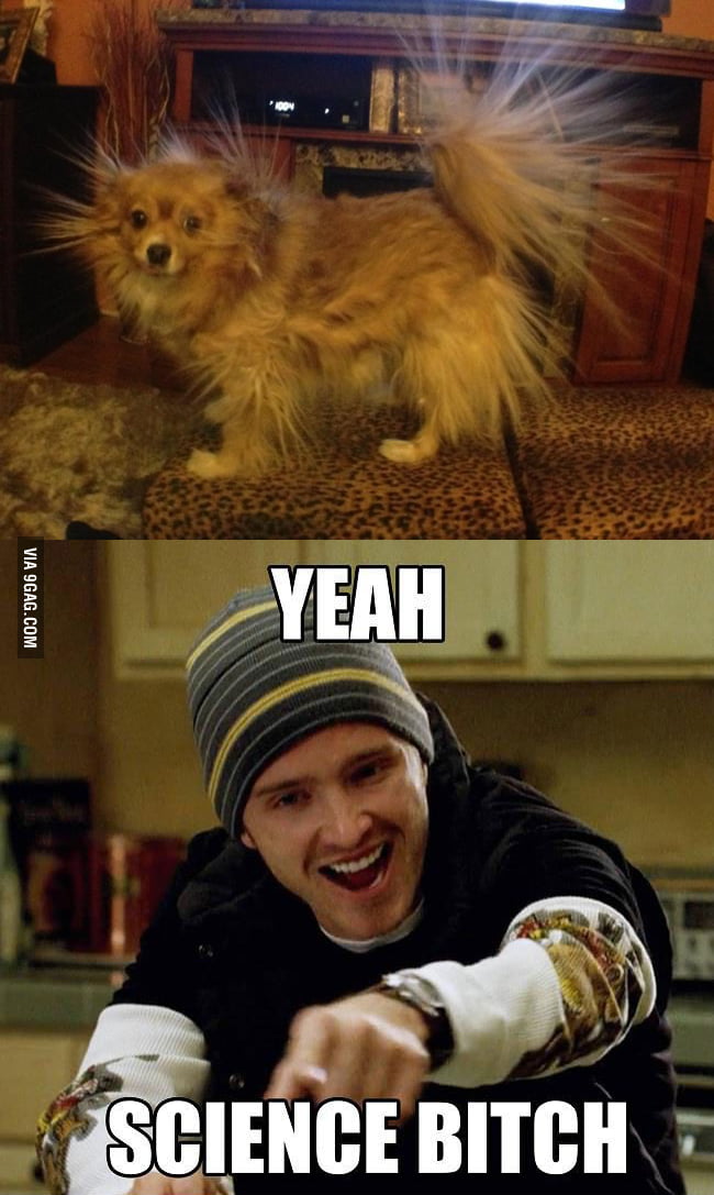 The funny side of static electricity - 9GAG