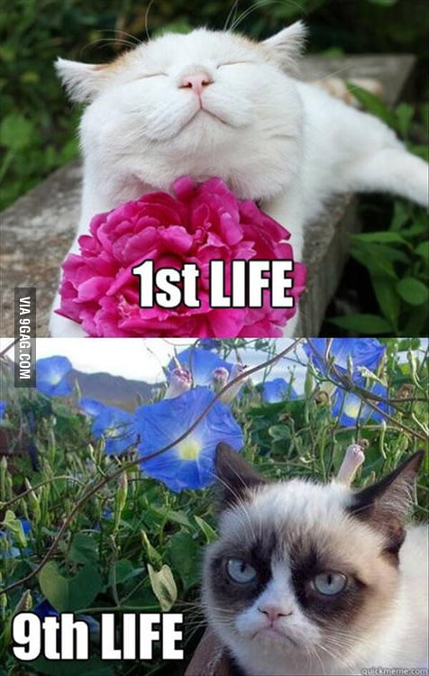 Now you know why he's grumpy - 9GAG