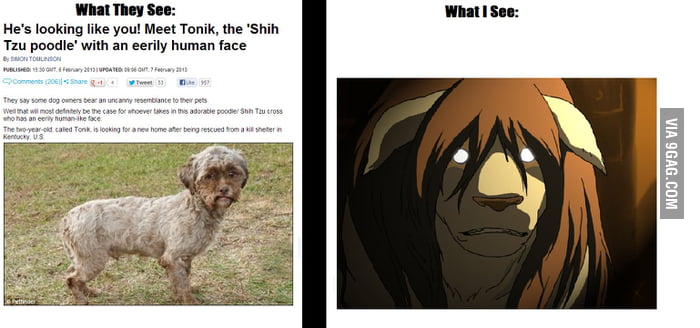 The Sewing-Life Alchemist is at it again! - 9GAG