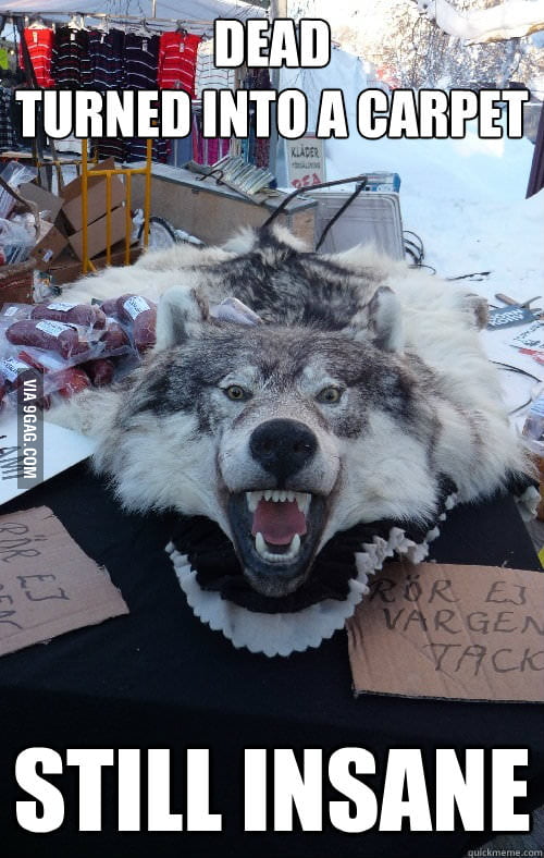 Insanity wolf is insane - 9GAG