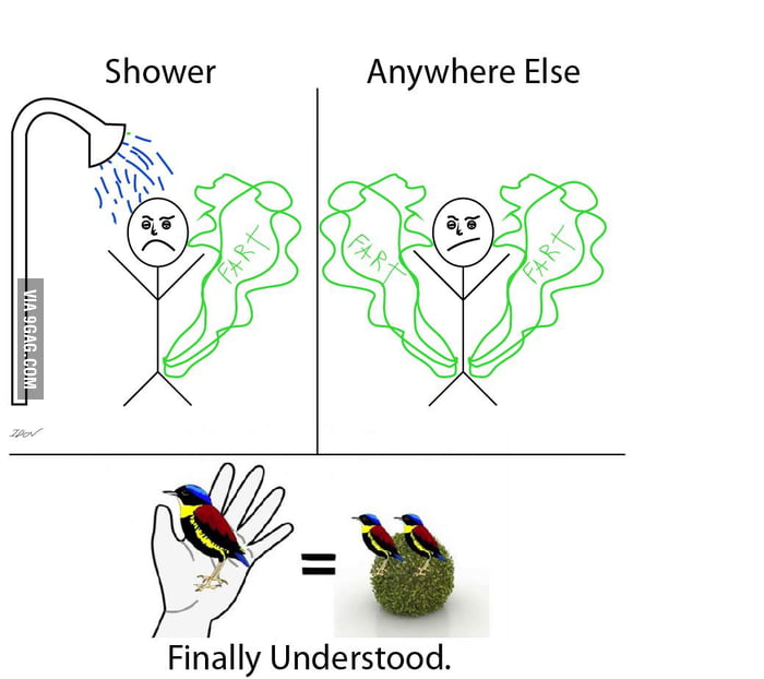 1 Fart in a Shower is Worth 2 Elsewhere - Finally Understood - 9GAG