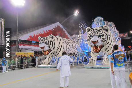 Amazing Carnival Tiger, Brazil - 9GAG