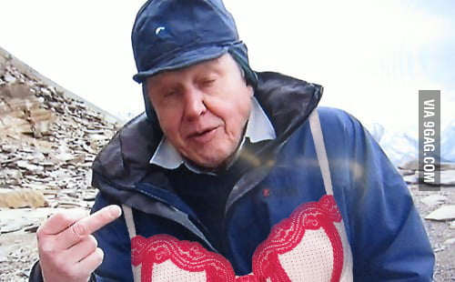 David hat 'n' bra - 9GAG