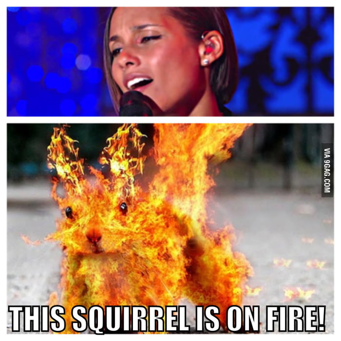 This squirrel is on fire!! - 9GAG