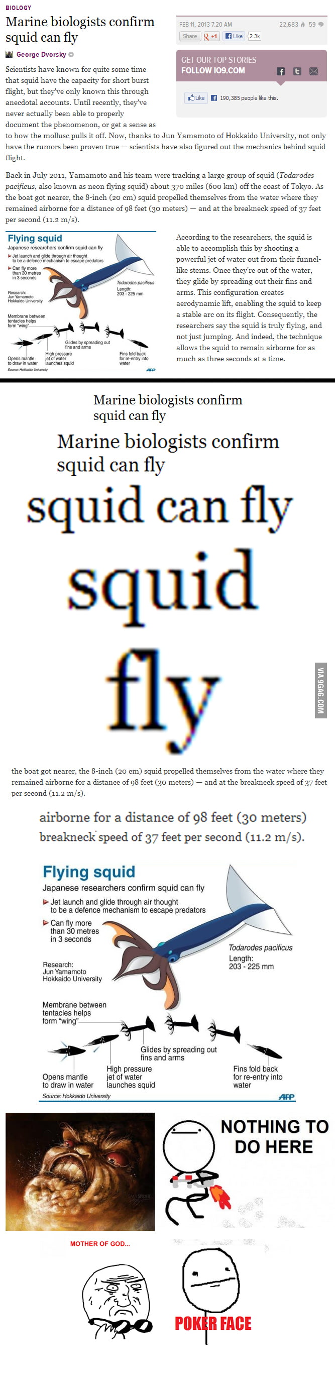 SQUID CAN FLY?!?!?!?!?! - 9GAG