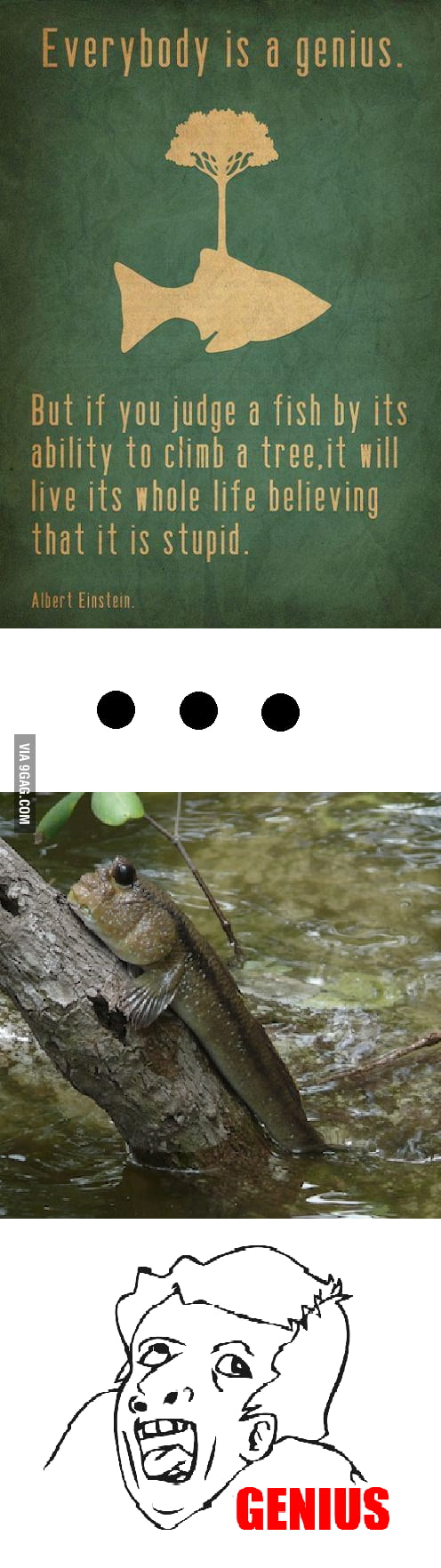 Darwin trolls Einstein? - 9GAG