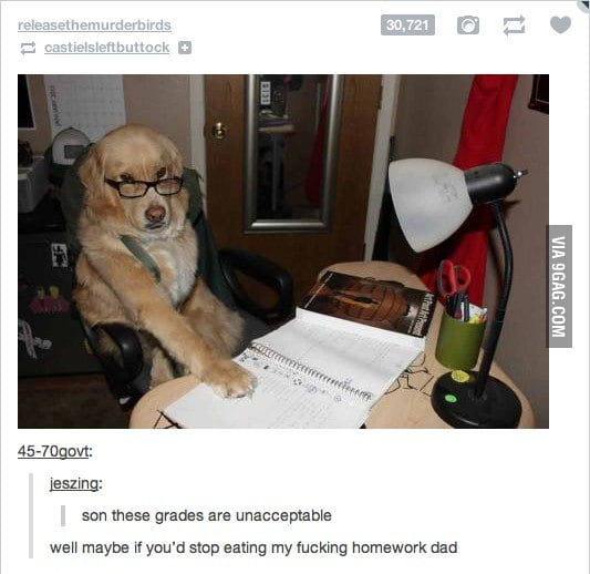 Yeah dad! - 9GAG