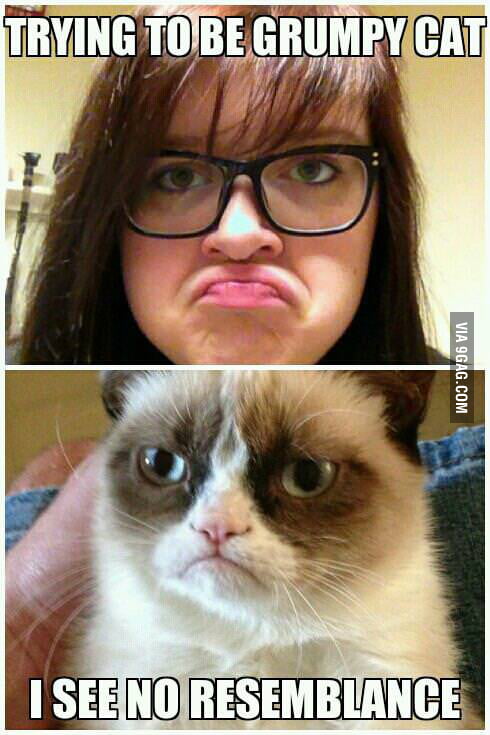 Grumpy cat!! - 9GAG