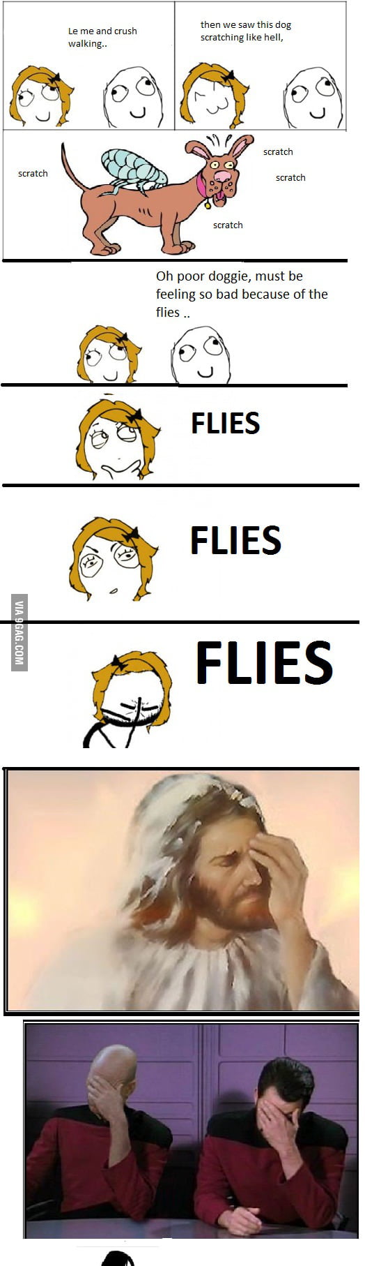 Flies vs. FLEAS - 9GAG