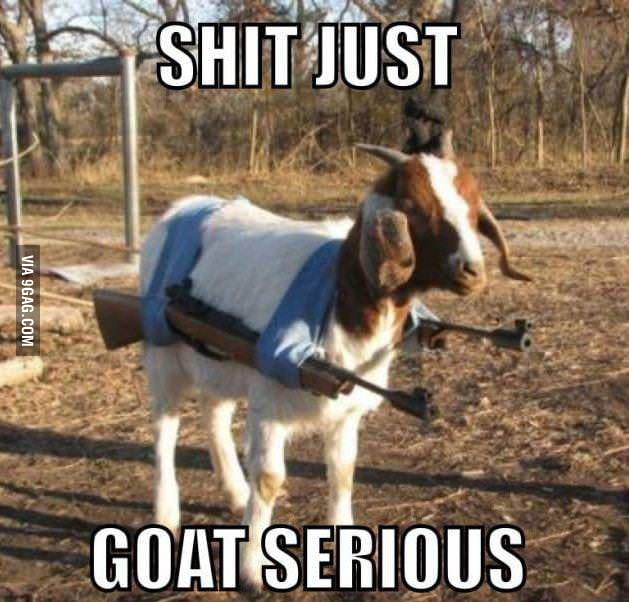 Shit just goat serious! - 9GAG