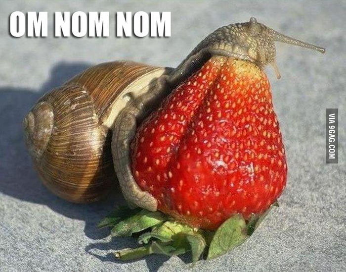 Om nom nom - 9GAG
