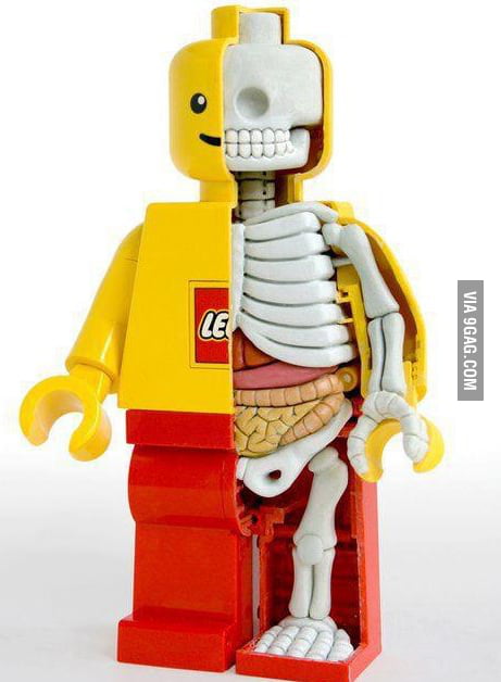 Anatomically correct Lego man - 9GAG