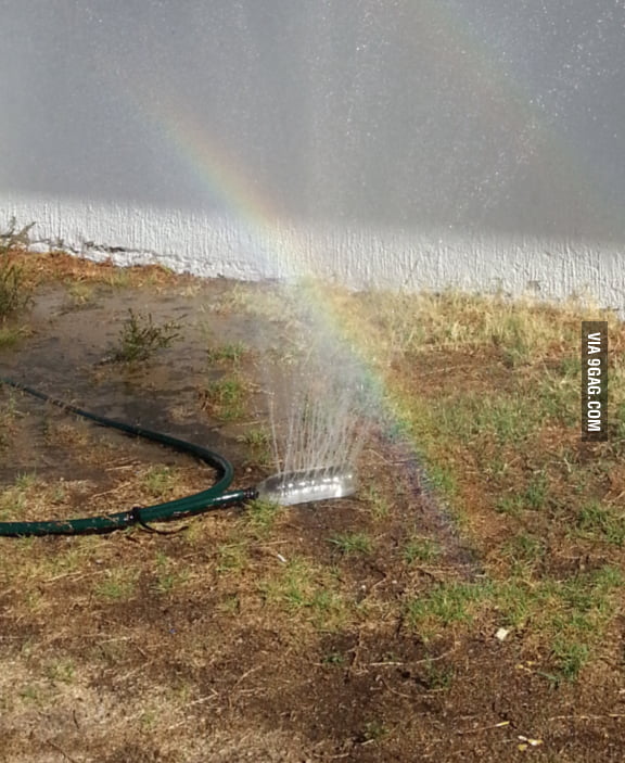 Meanwhile in Mexico... - 9GAG