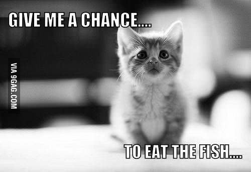 It's Valentine Day! Give me the fish! - 9GAG