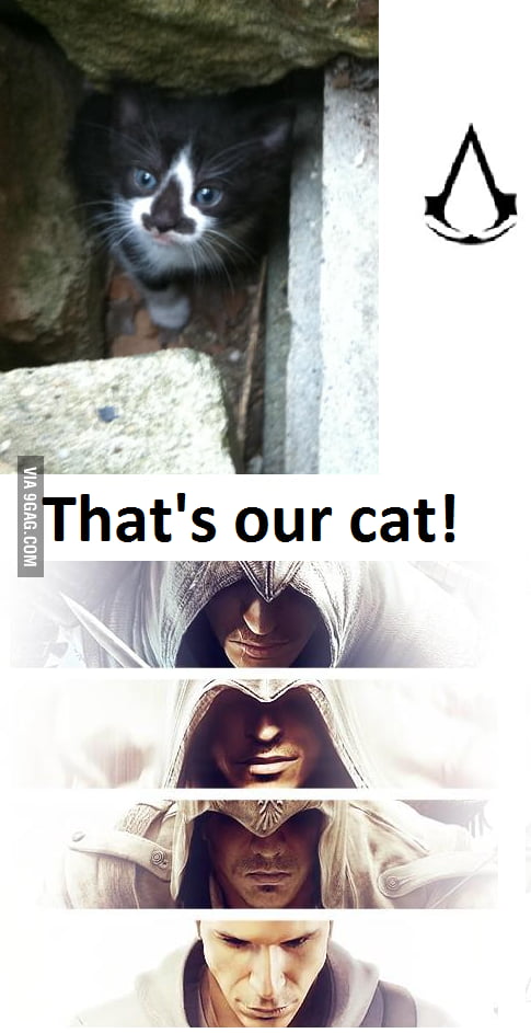 Assassin's Creed Kitty - 9GAG