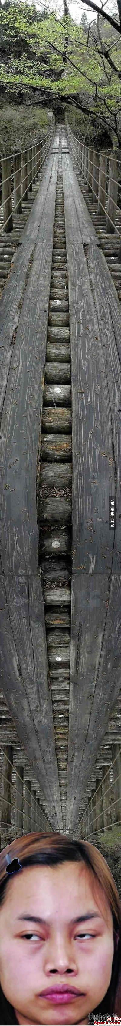 Don't Scroll Down! - 9GAG