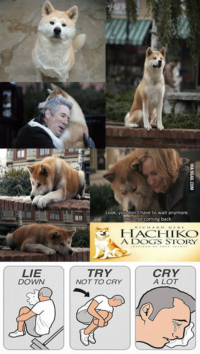 Hachi... Try not to cry - 9GAG