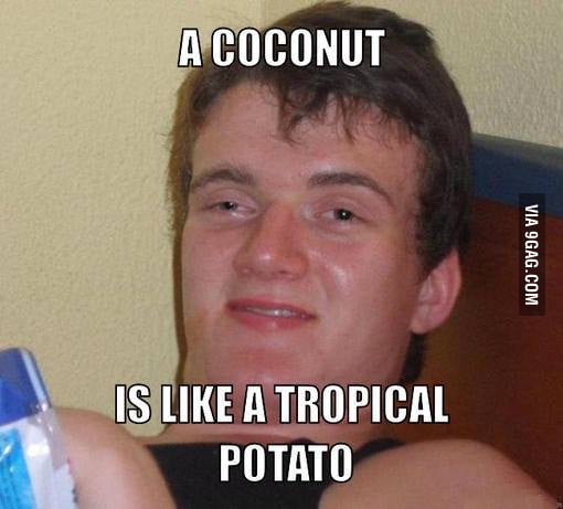 Coconuts... - 9GAG