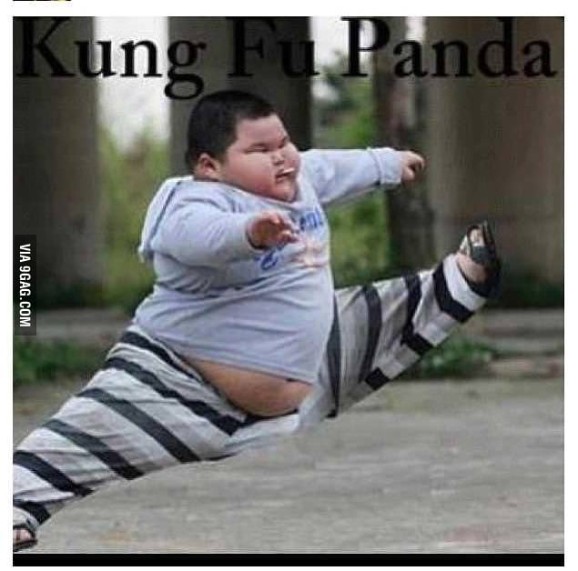 Kung Fu Panda! - 9GAG