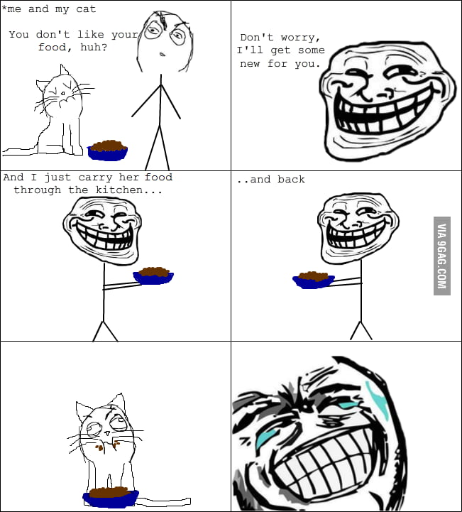 Cat Trolling - 9GAG