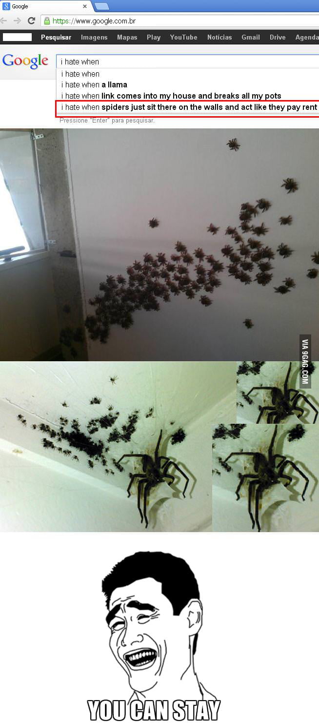 Scumbag Spiders Can Be Terrifying - 9GAG