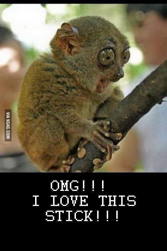 Omg !!! I love this stick - 9GAG