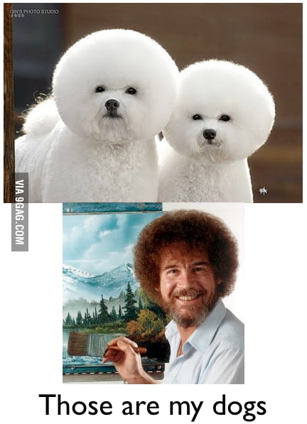 Bob ross dogs? - 9GAG