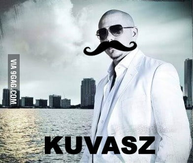 Pitbull with mustache - 9GAG