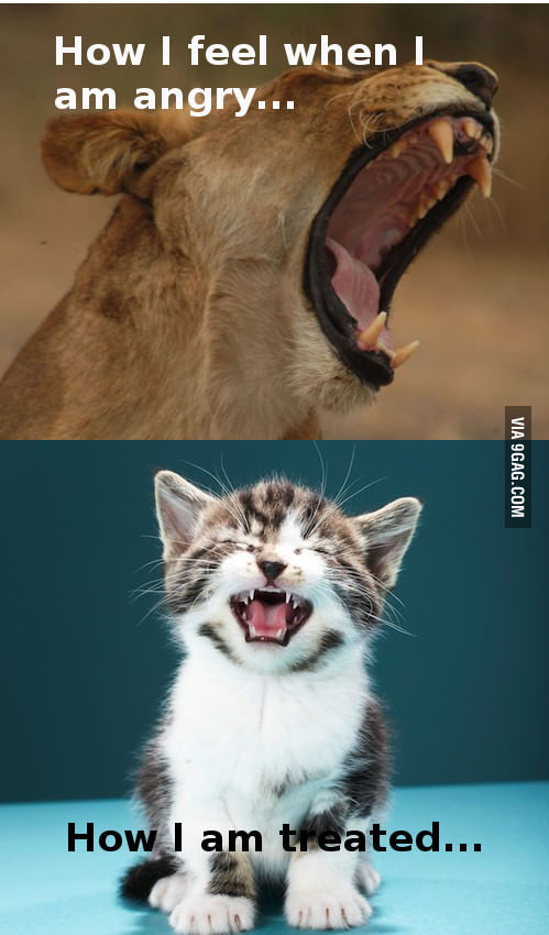 It makes me angry... - 9GAG
