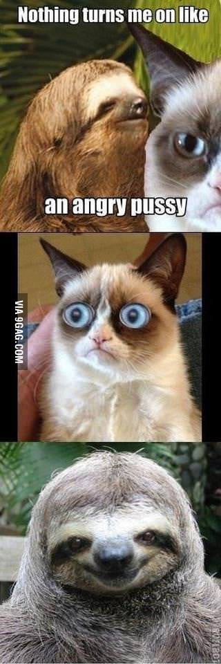 Tard's one weakness - 9GAG