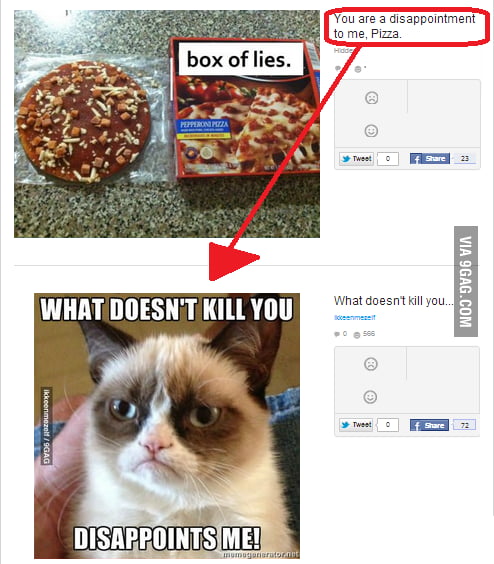 Grumpy cat, is this your pizza? - 9GAG