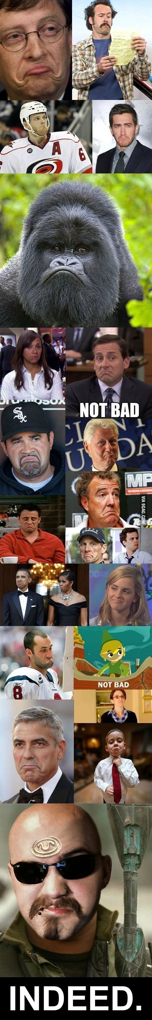 Not bad, Indeed. - 9GAG