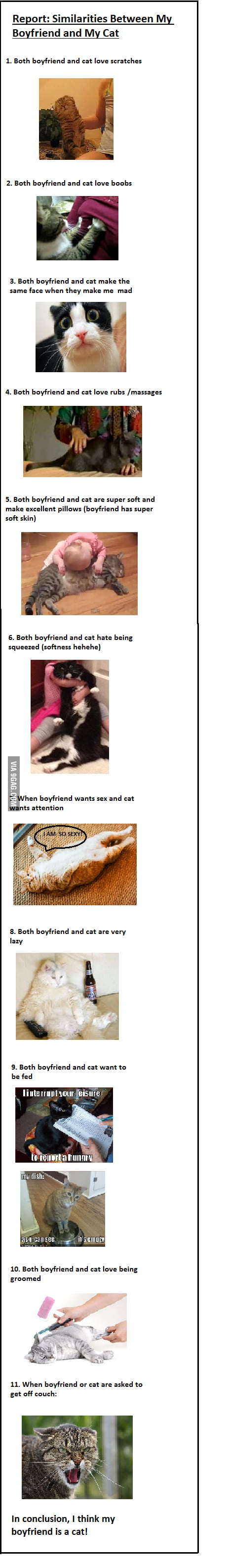 Boyfriend = soft lazy cat - 9GAG
