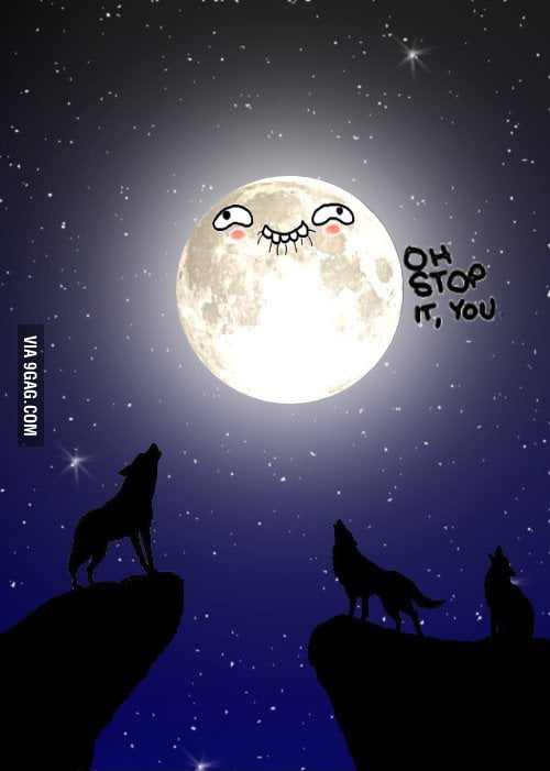 Oh stop it, you! - 9GAG