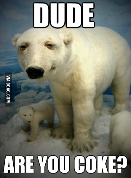 Dude, are you coke? - 9GAG